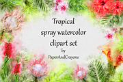 Tropical Watercolor Set, an Illustration by PaperAndCrayons