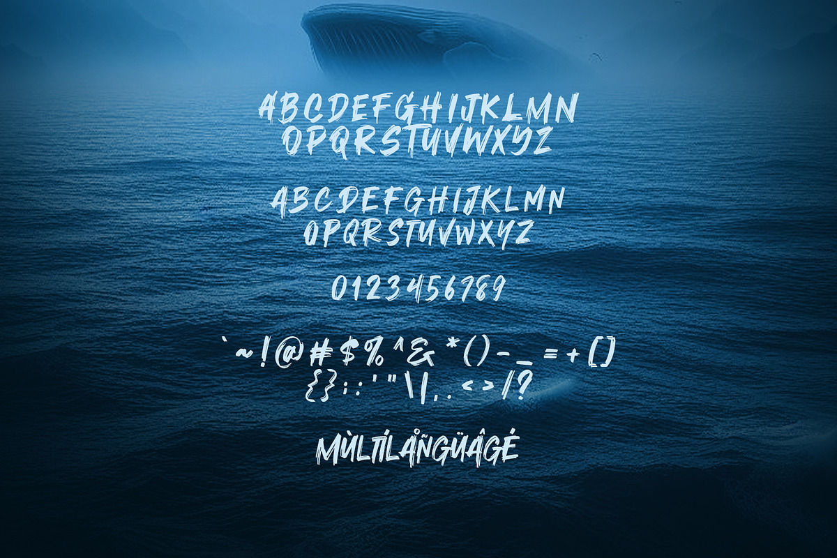 Orca Role, a Script Font by khurasan