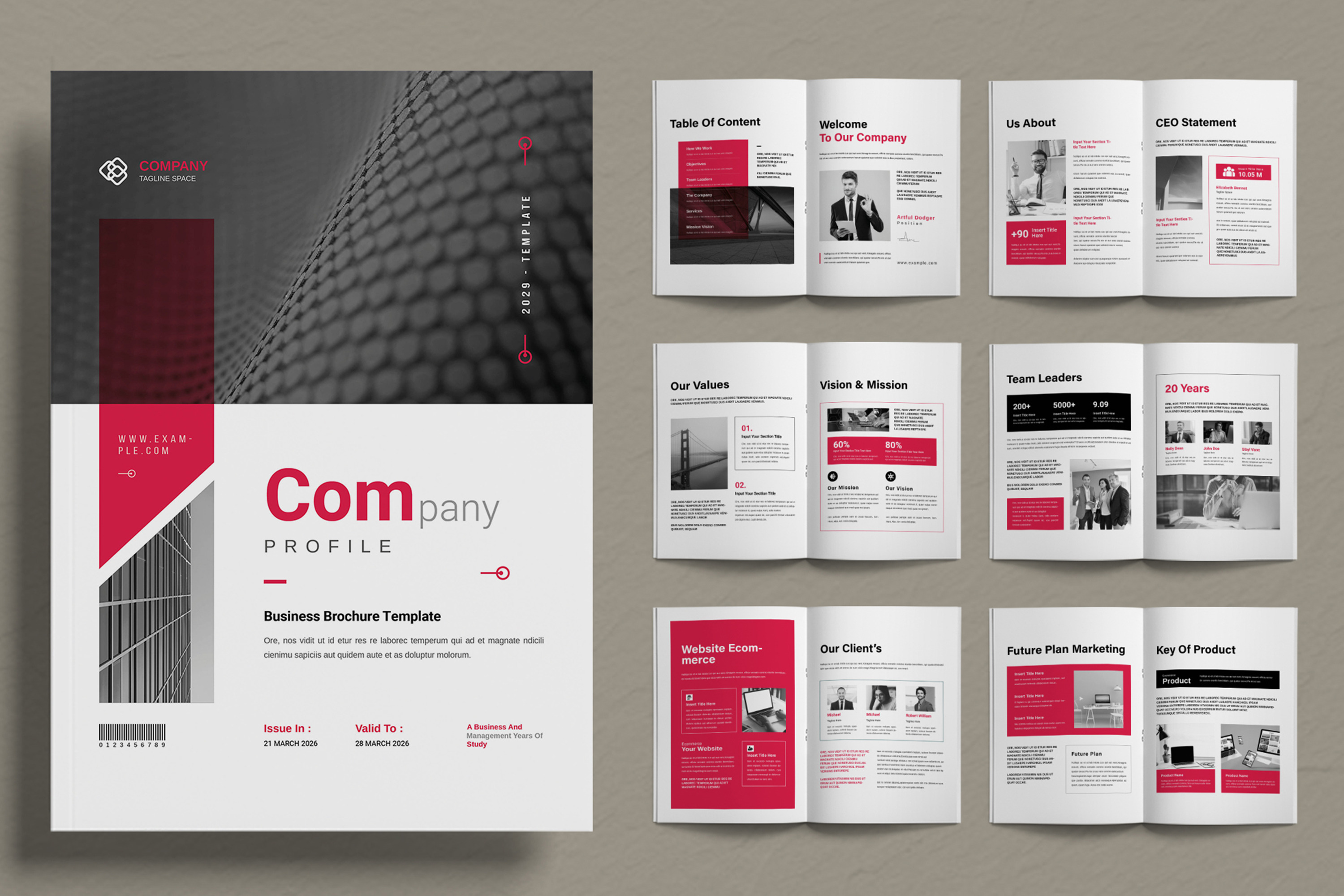 Company Profile Layout Template