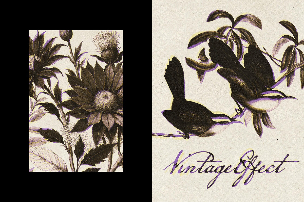 Vintage Paper Print Effect, a Layer Style Add-On by Design Squad