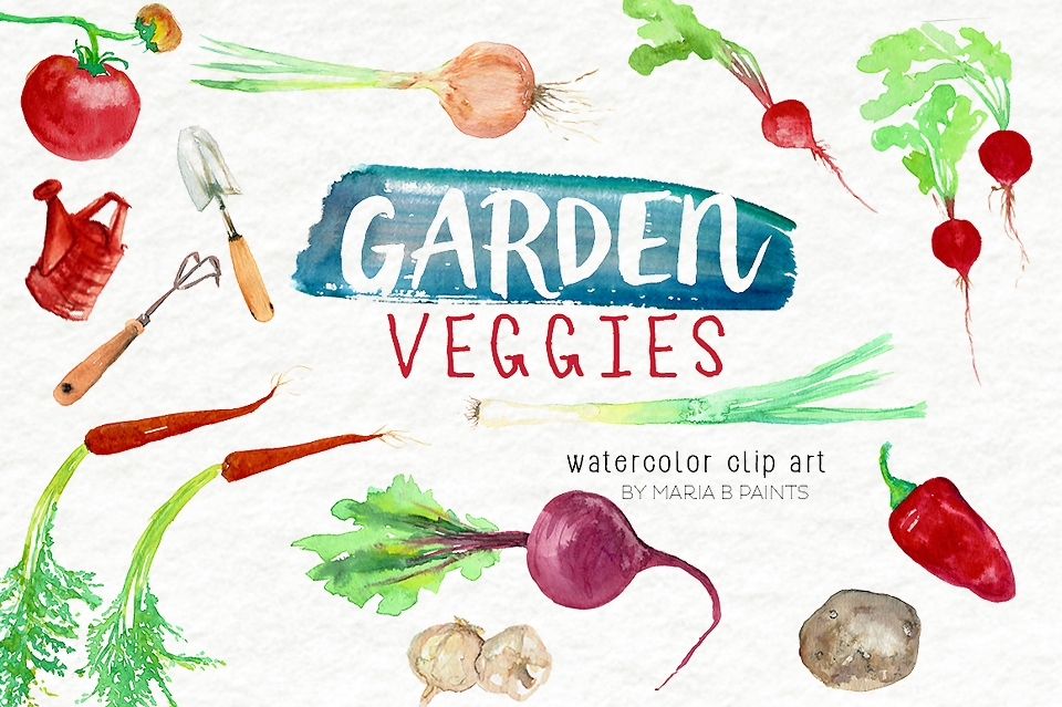 Watercolor Clip Art - Garden Veggies, an Illustration by Maria B. Paints