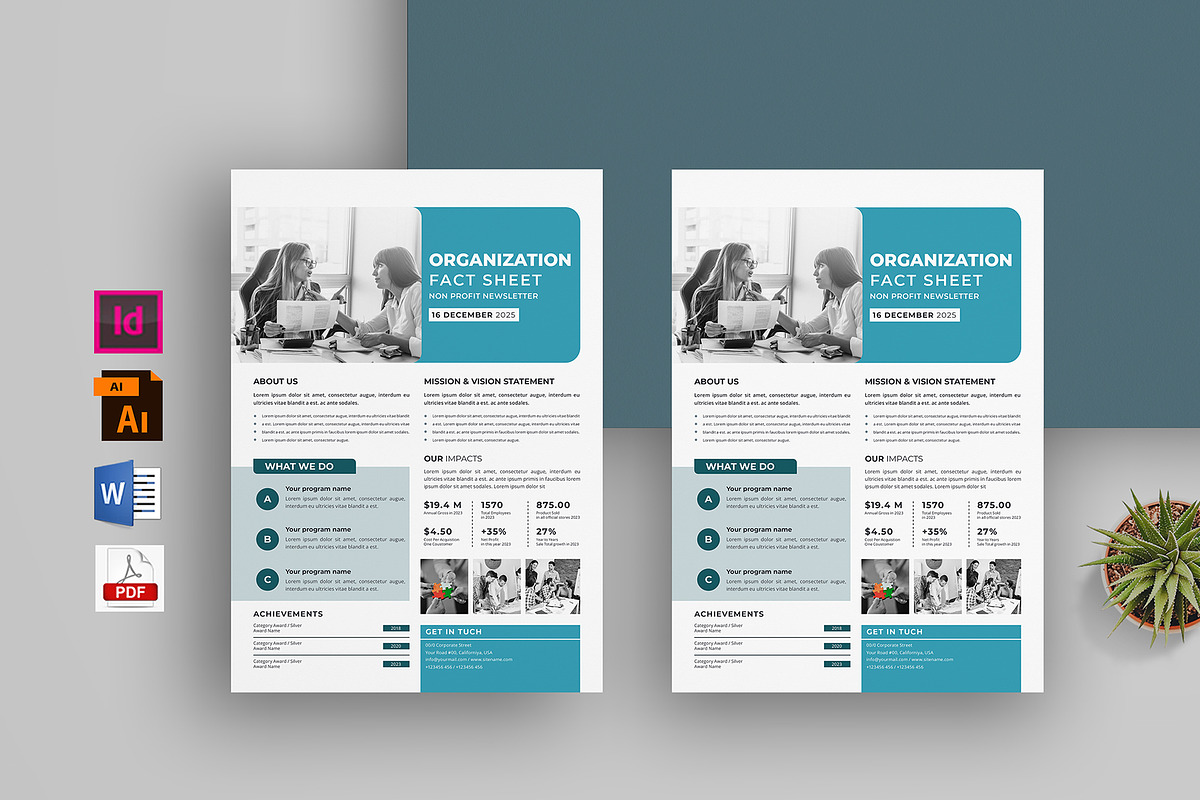 Nonprofit Organization Fact Sheet, a Flyer Template by obayes
