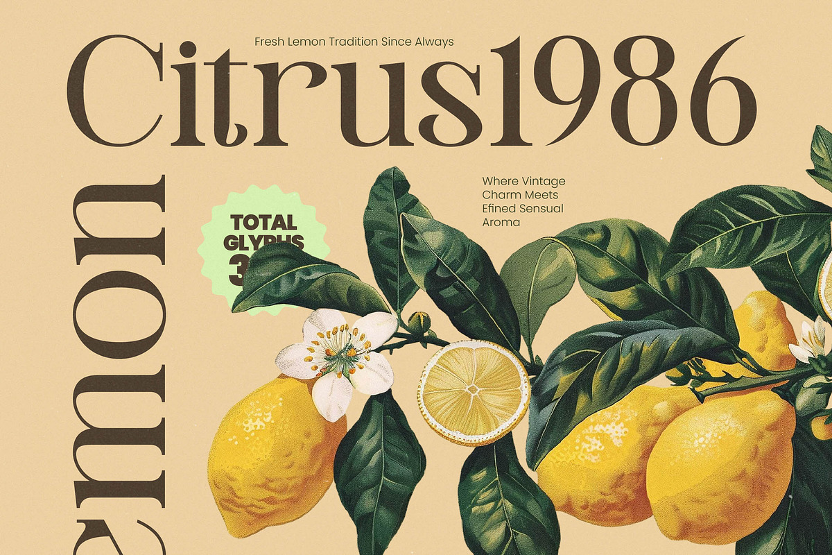 Montague Westfield Serif Vintage, a Serif Font by timelesstype.co