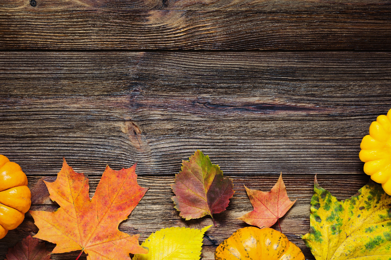 Fall background with fallen leaves, an Abstract Photo by The baking man ...
