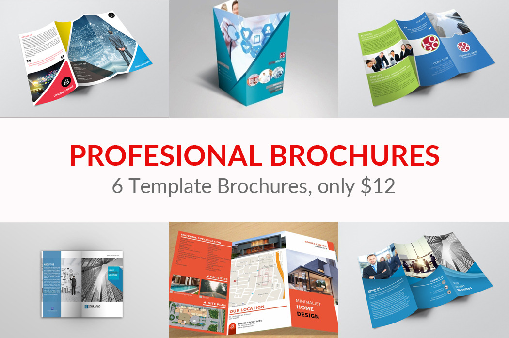 Profesional Brochures Bundle, a Brochure Template by BoriesBechker