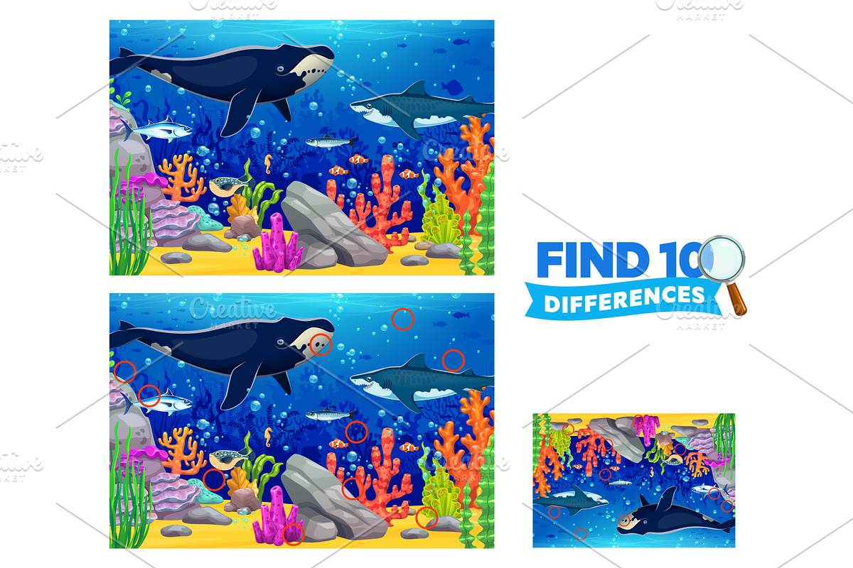 Find differences game worksheet, an Animal Illustration by Vector Tradition