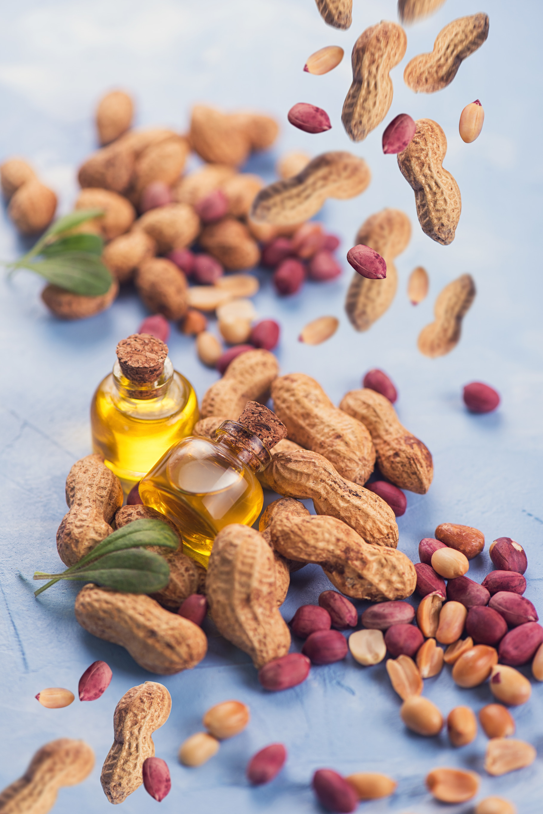 Natural peanut with oil in a glass featuring dry, cork, and diet, a ...
