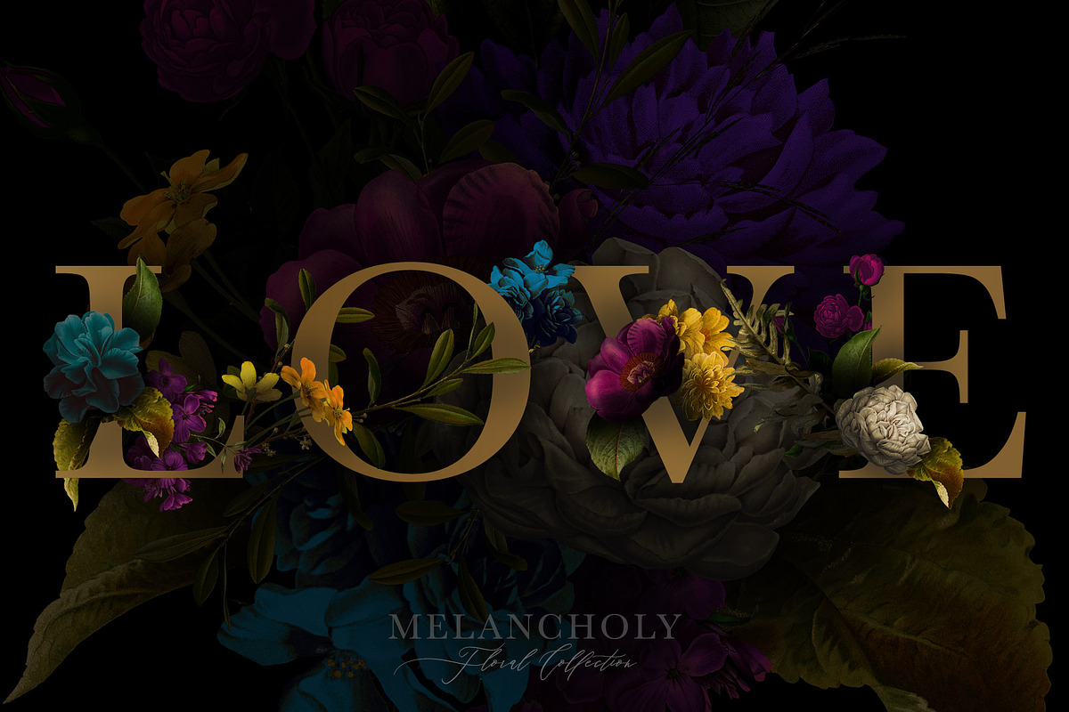 Melancholy Floral Collection, an Illustration by Eclectic Anthology