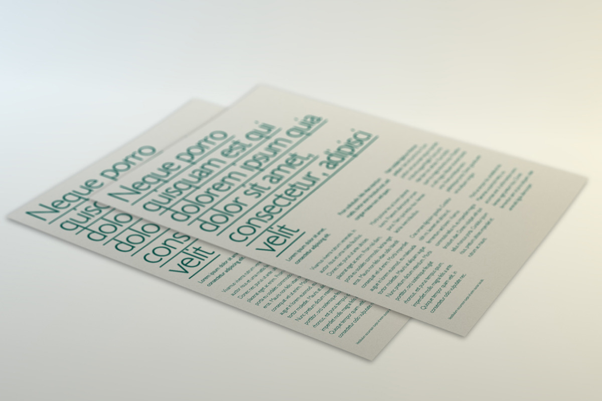 Multipurpose Letter Flyer Mockup, a Print Template by Northern Kraft