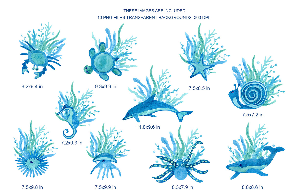 Sea Creatures Watercolor Collection