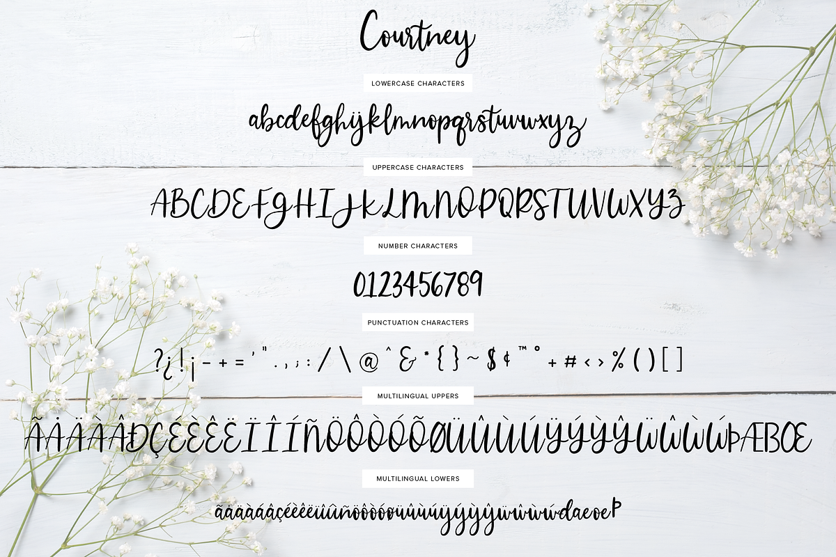Courtney | Handwritten Script Font, a Script Font by Cate Shaner