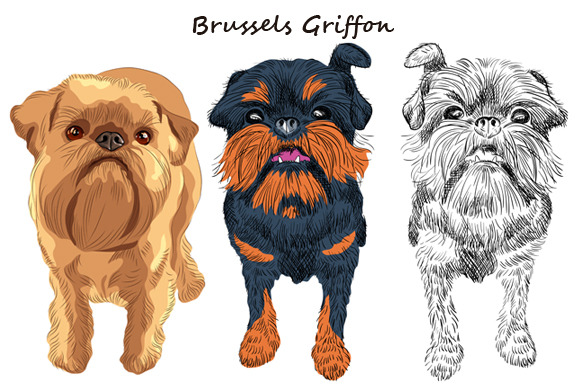 Dog Brussels Griffon SET, an Animal Illustration by kavalenkava