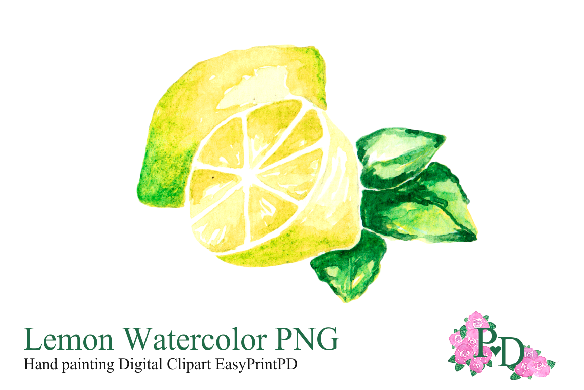 Lemon Fruit Watercolor Clipart PNG | Illustrations ~ Creative Market