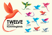 Twelve logos with hummingbirds, a Branding & Logo Template by Pgmart