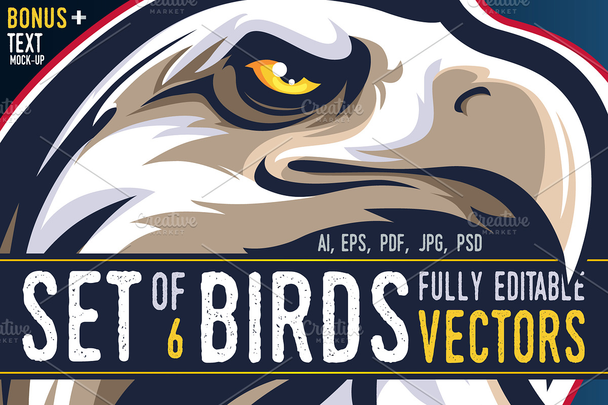 6 Smart Birds Vector set + BONUS, an Animal Illustration by Pixelin Studio