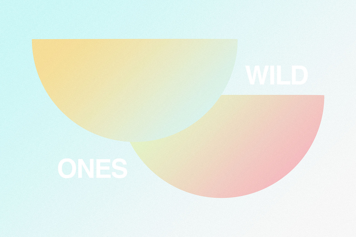 High Resolution Gradient Overlays, a Texture Graphic by Touch and Form