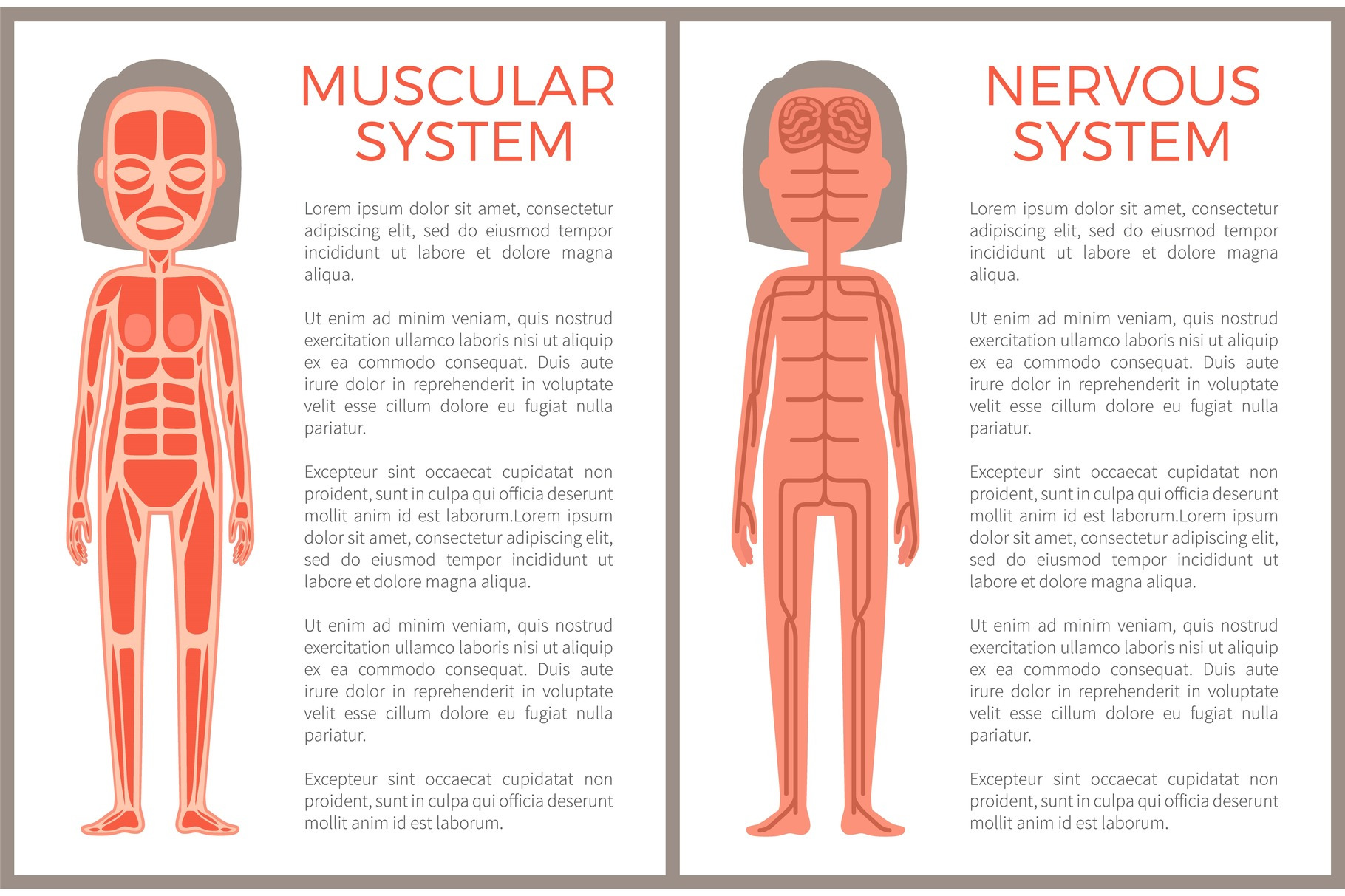 Muscular and Nervous System, a Healthcare Illustration by robuart ...