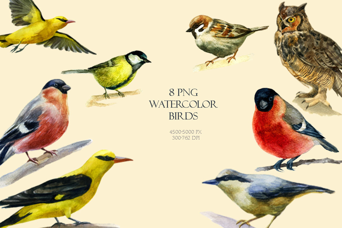 Watercolor forest animals and birds, an Animal Illustration by m-soleil