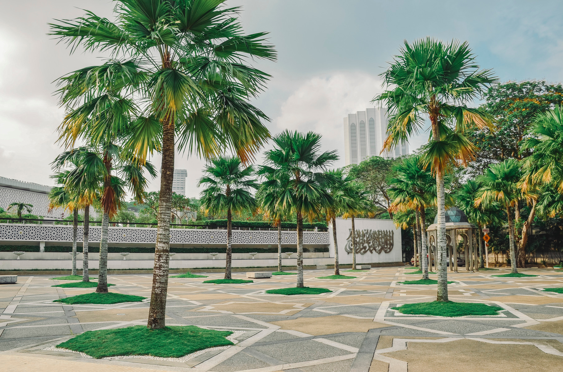 Public park featuring palm, tree, and tropical, a Nature Photo by key.rah