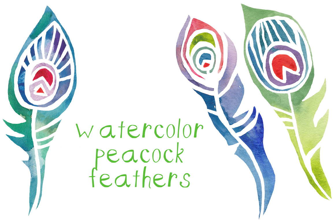 Watercolor Peacock Feathers, an Illustration by Digital Press Creation