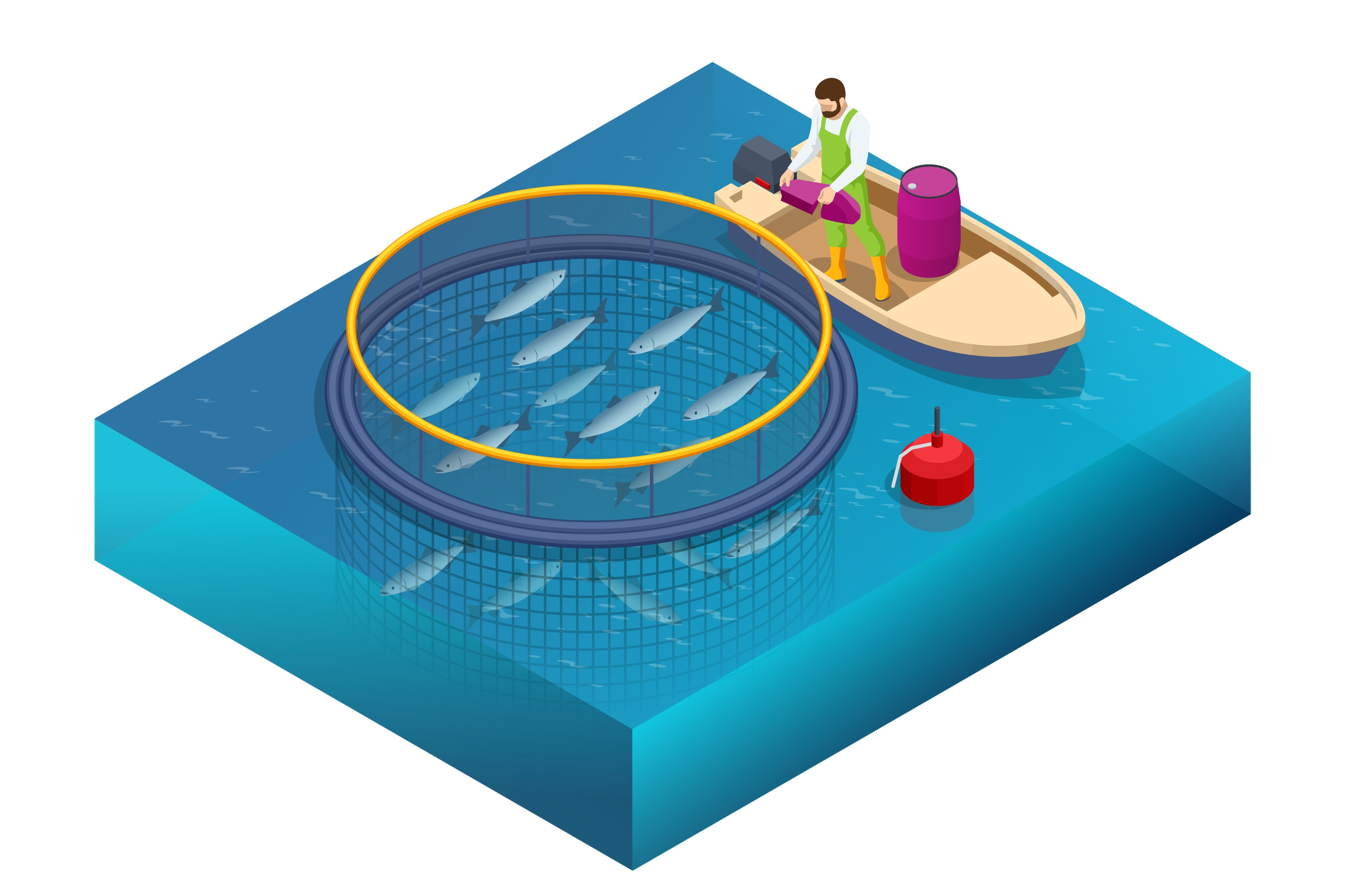 Isometric Fish Farm. Producing Trout, a Food Illustration by Golden Sikorka