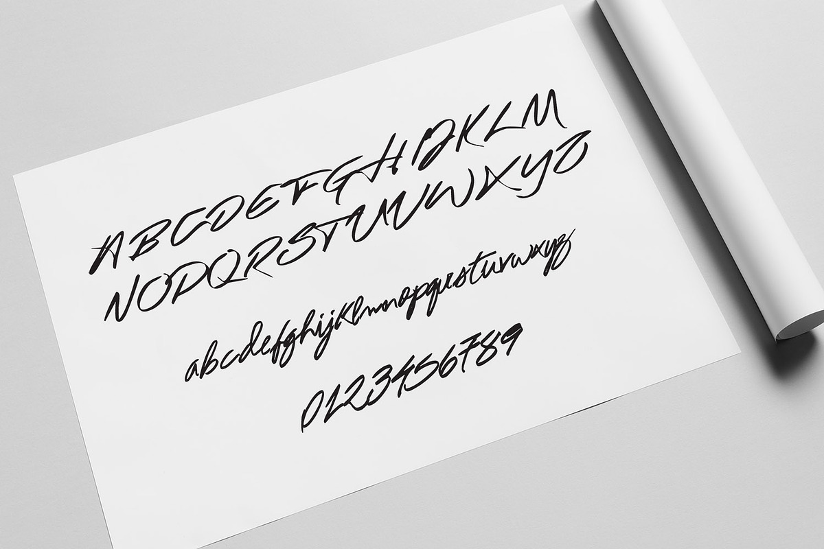Absolute Script, a Script Font by Marcelo Inez | Creative Market