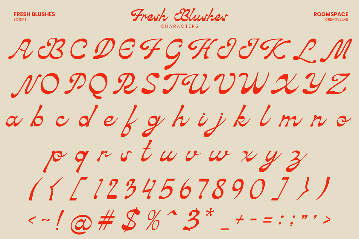 Fresh Blushes | Modern Script Font, a Script Font by roomspace ...