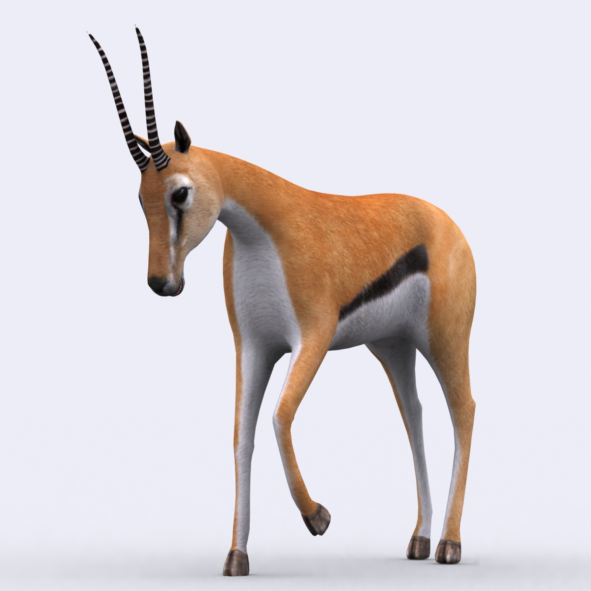 3DRT - Safari animals, an Animal 3D Model by 3DRT.com | Creative Market