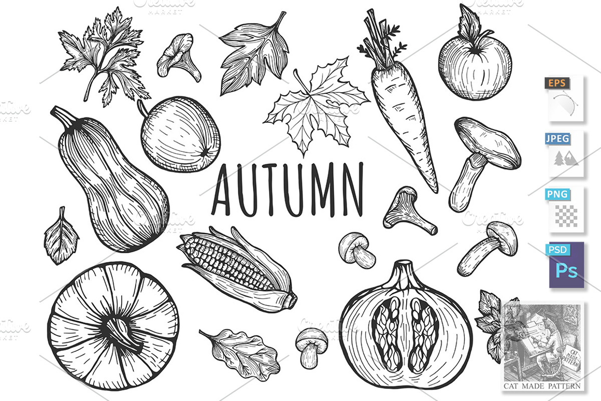 Autumn seasonal menu, a Food Illustration by CatMadePattern