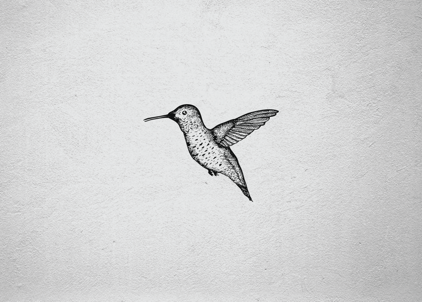 Hummingbird HAND DRAWN, an Illustration by Design Monarchy