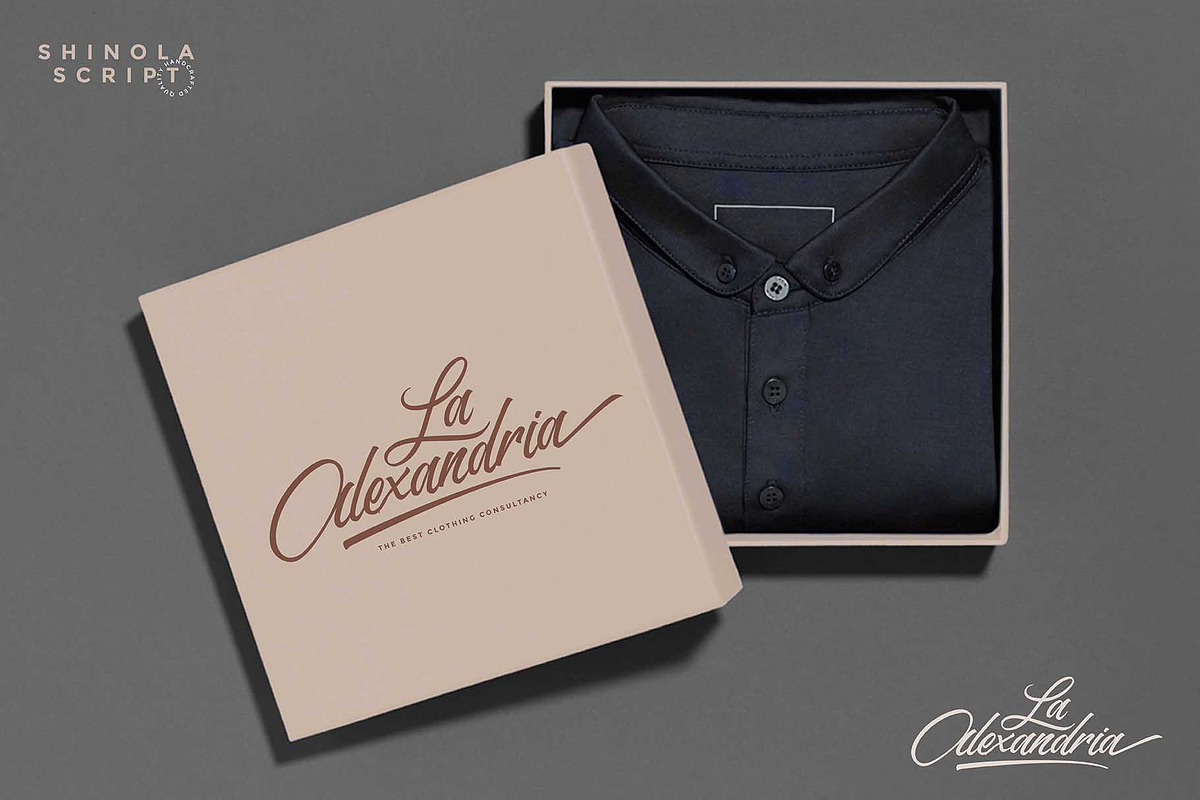 Shinola Handwritten Script, a Script Font by ngene | Creative Market