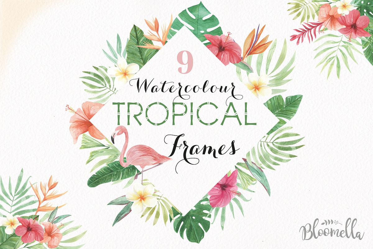 Tropical Watercolor Frames Flamingo, an Illustration by Bloomella