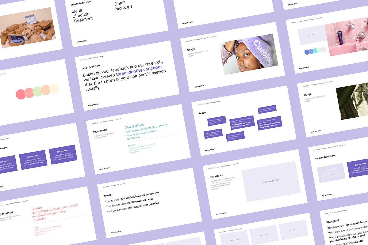 Brand Identity Concepts Presentation for Figma