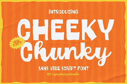 Mainmia Script, a Script Font by Authentic Studio