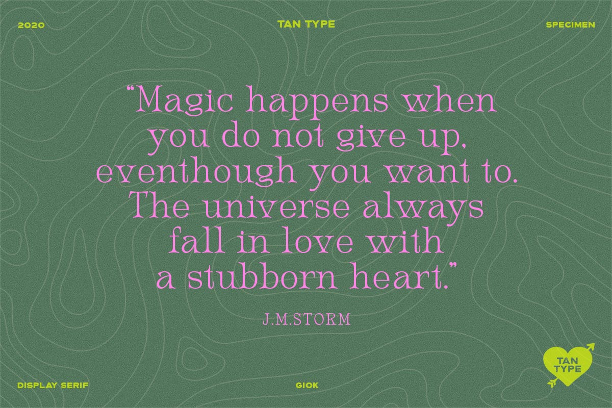 TAN - GIOK, a Serif Font by TanType