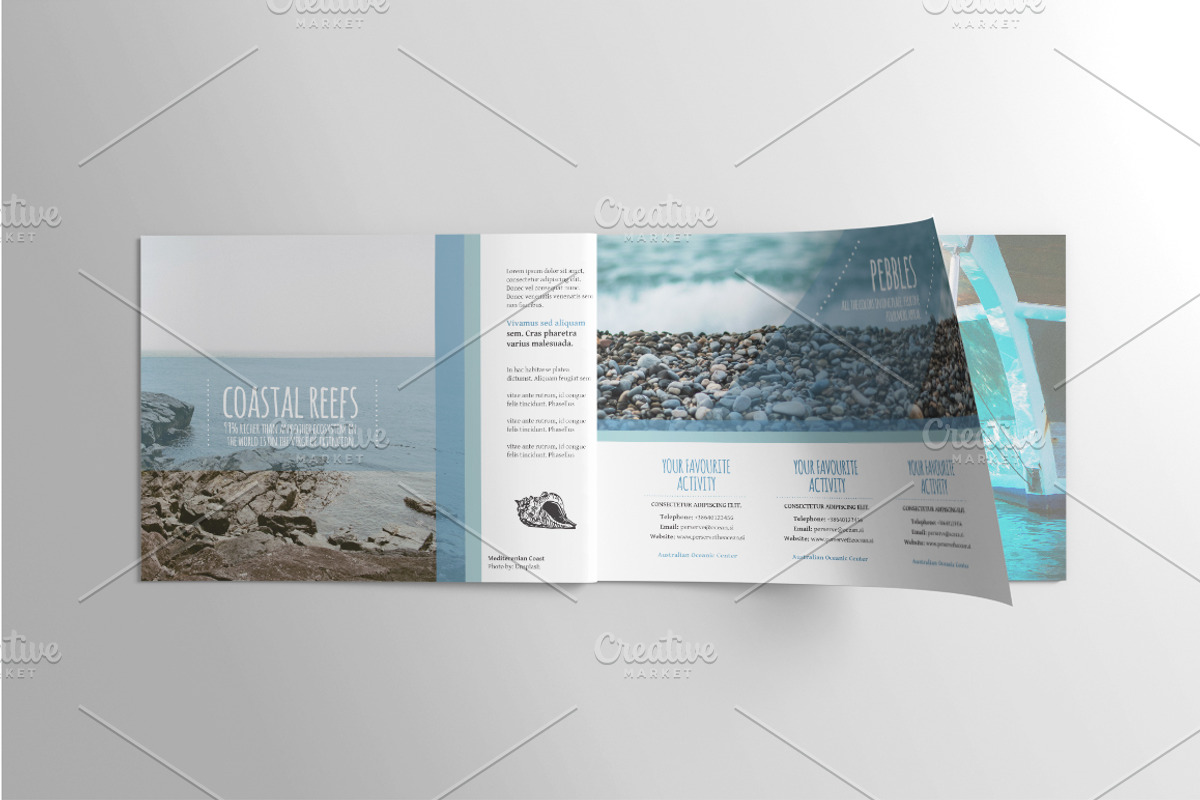 A5 6PAGE Preserve the Ocean Brochure, a Brochure Template by KatjaPotokar