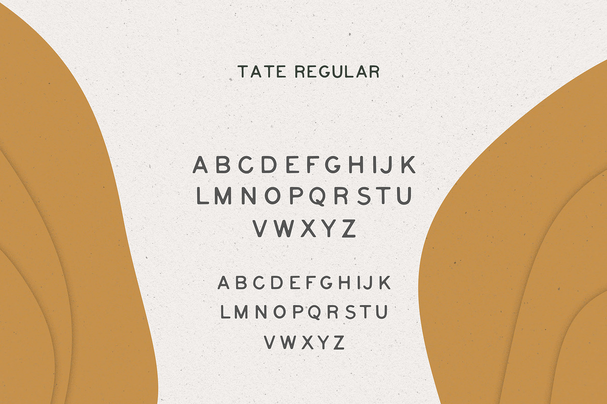 Tate Font, a Font by Nomad Visuals