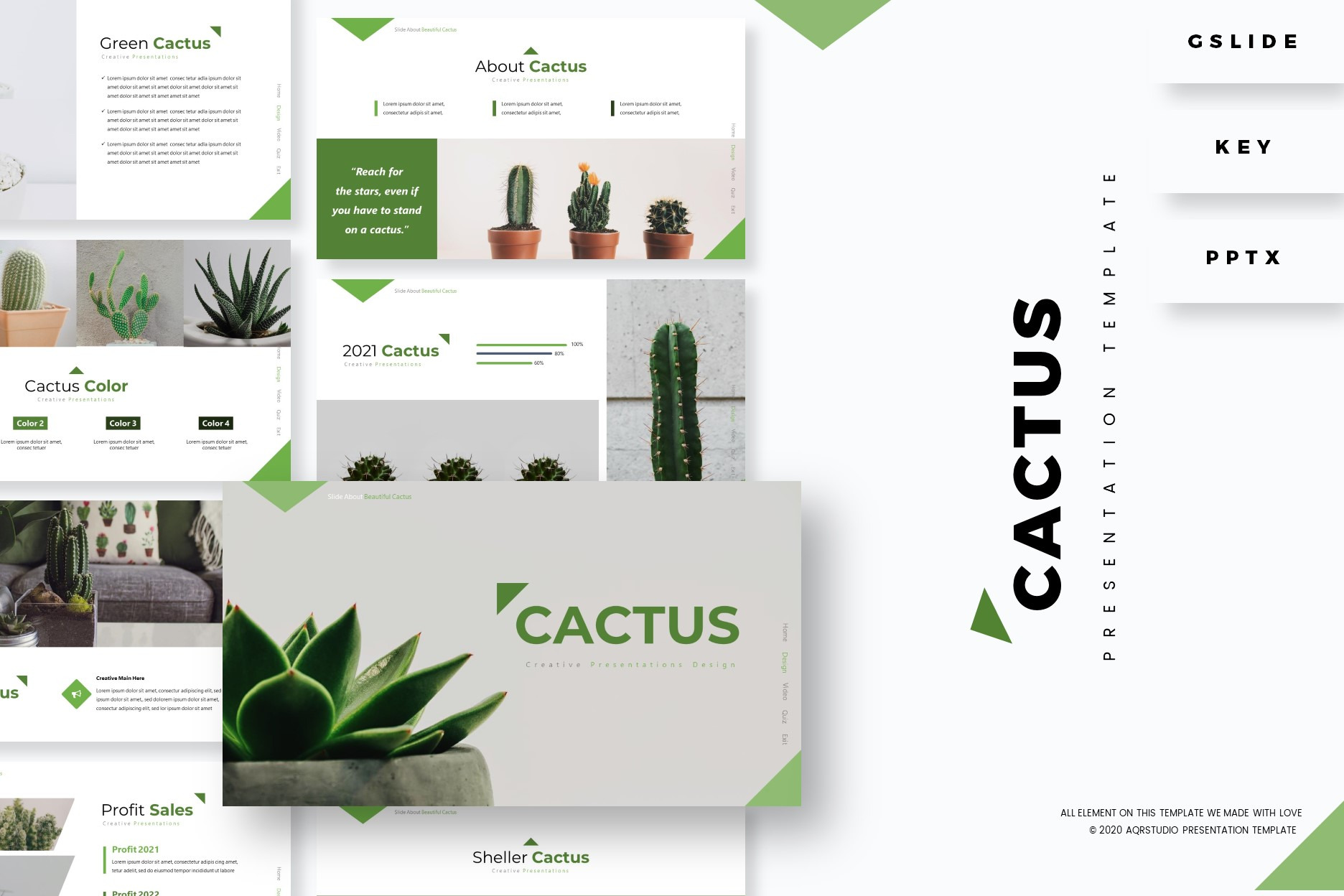 Cactus - Presentation Template, a Presentation Template by AQR Studio