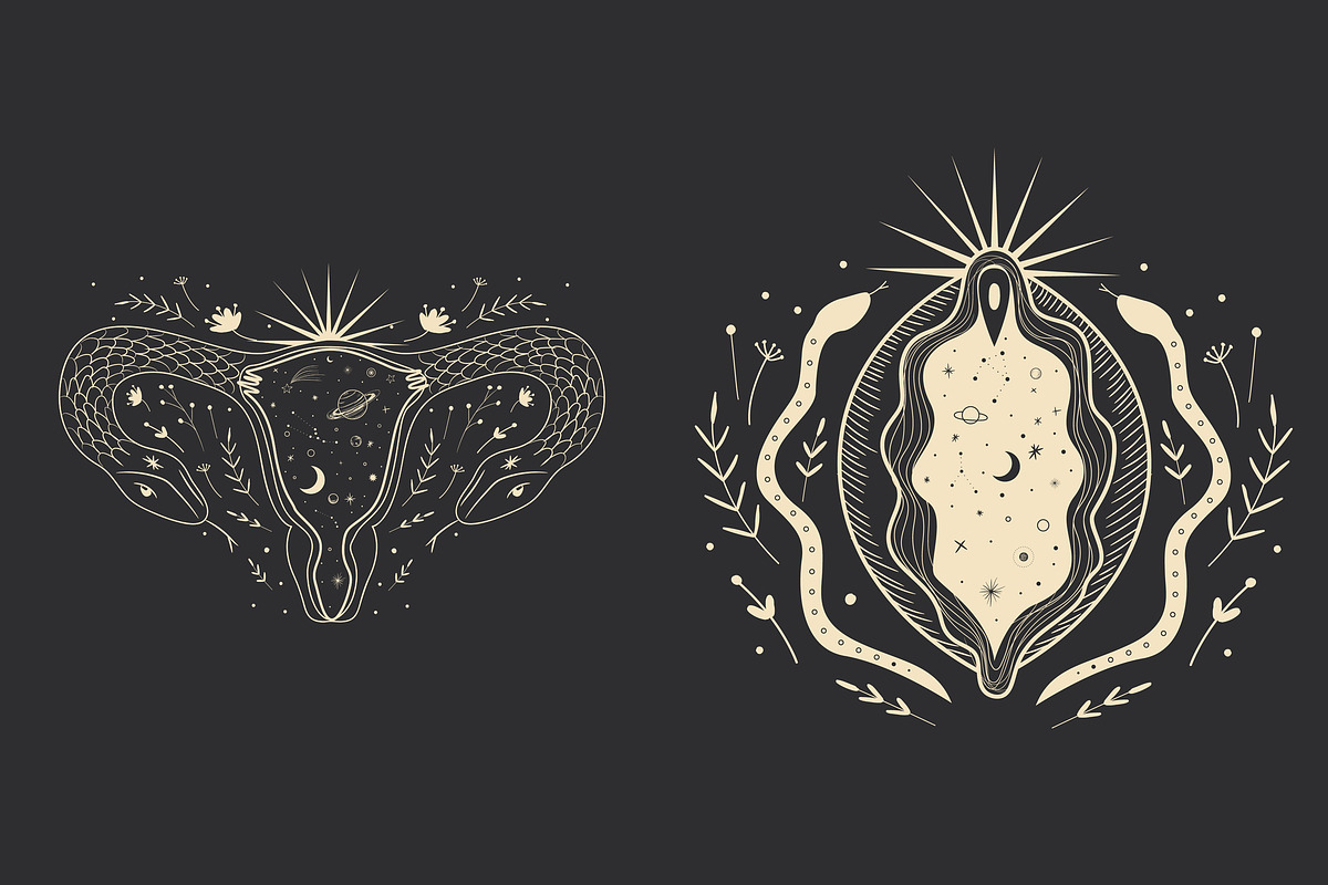 Female reproductive system. Vagina, a Healthcare Illustration by Chikovnaya