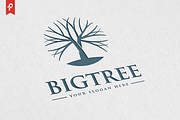 Big Tree Logo, a Branding & Logo Template by ft.studio