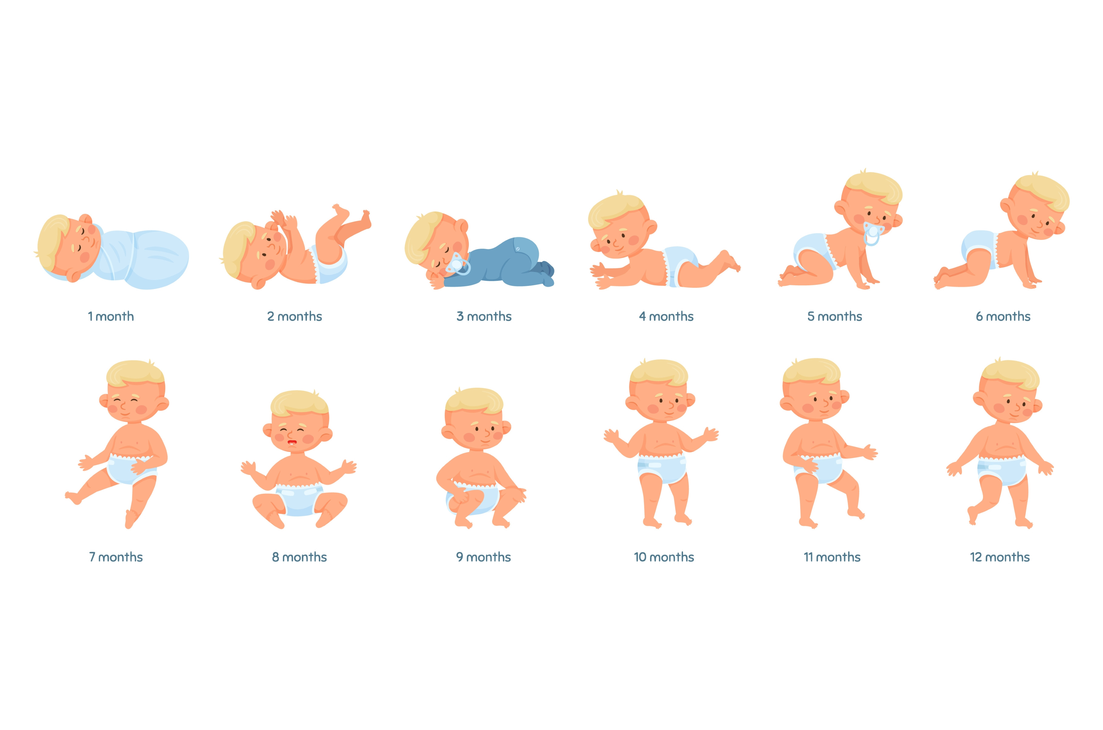Baby growth stages, development | Graphic Objects ~ Creative Market