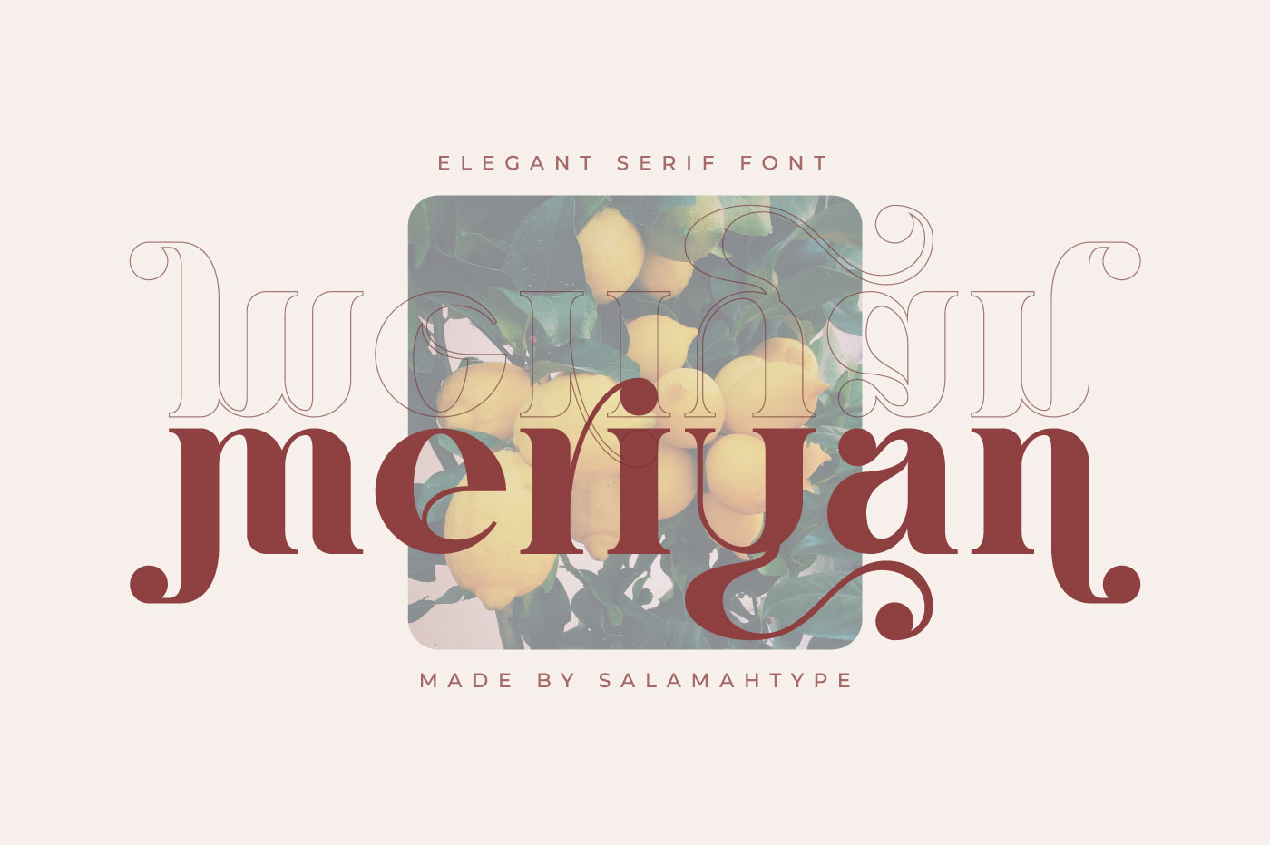 Meriyan Modern Serif Font, a Serif Font by Salamahtype