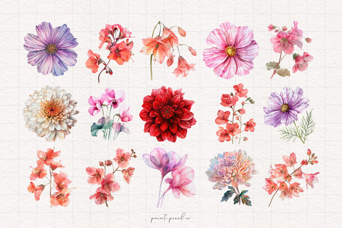 Autumn Flowers Clip art, a Decorative Illustration by PaintPixelCo