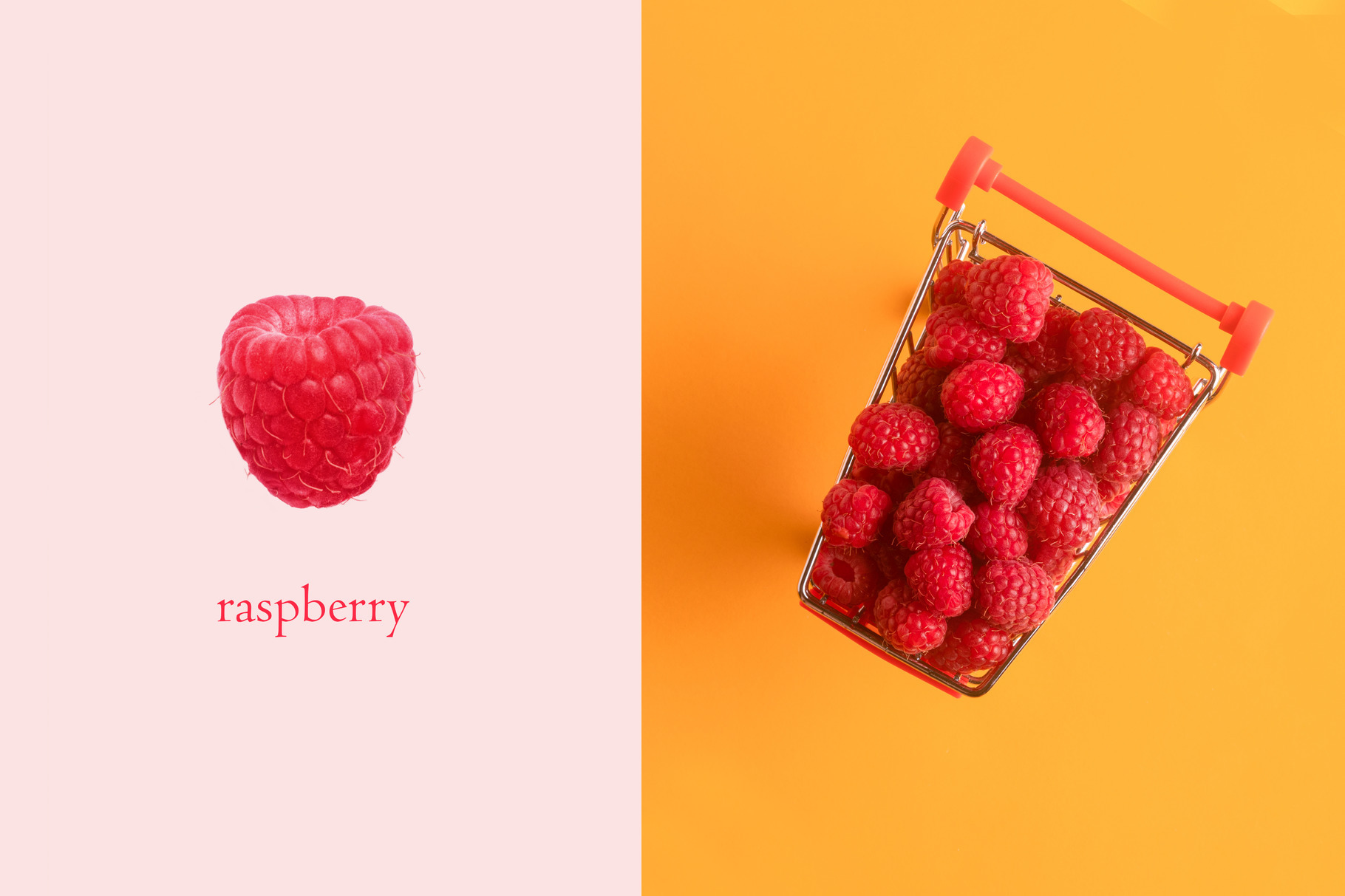 Raspberry layout for advertising featuring advertising, background, and ...