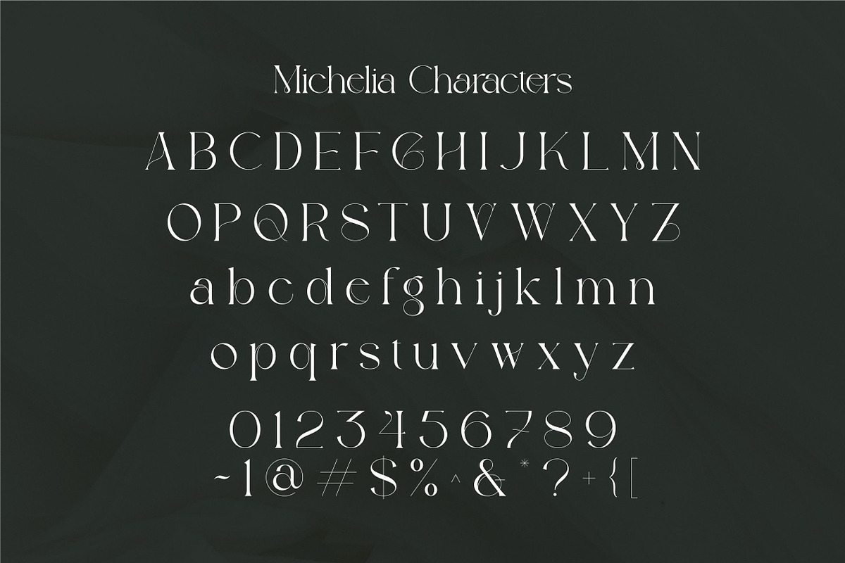 Michelia - Modern & Aesthetic, a Serif Font by ErgibiStudio