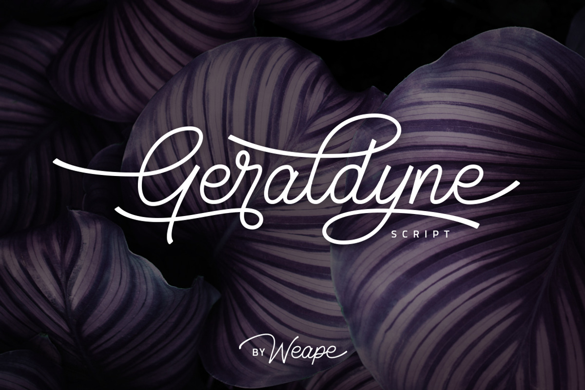 Geraldyne Script, a Script Font by Weape Studio