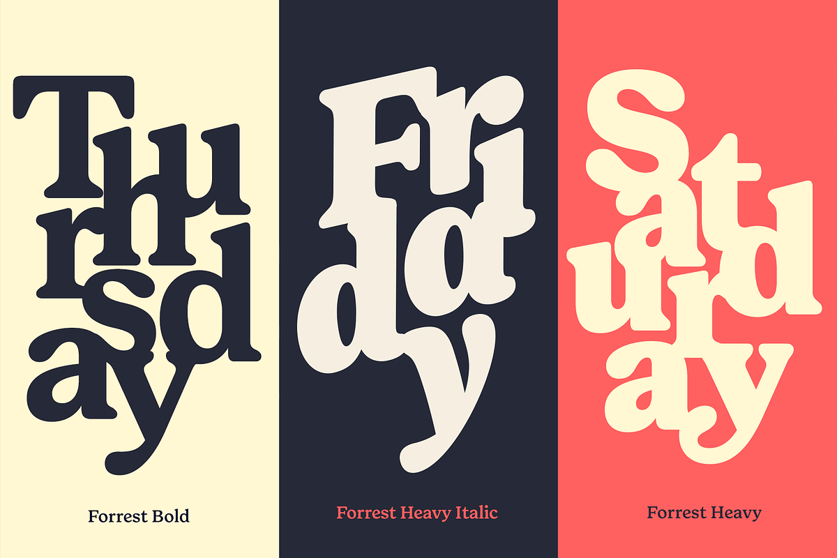 Forrest Friendly Serif Family, a Serif Font by Fenotype