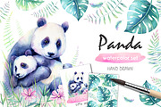 Panda Watercolor set, an Animal Illustration by WOWatercolor