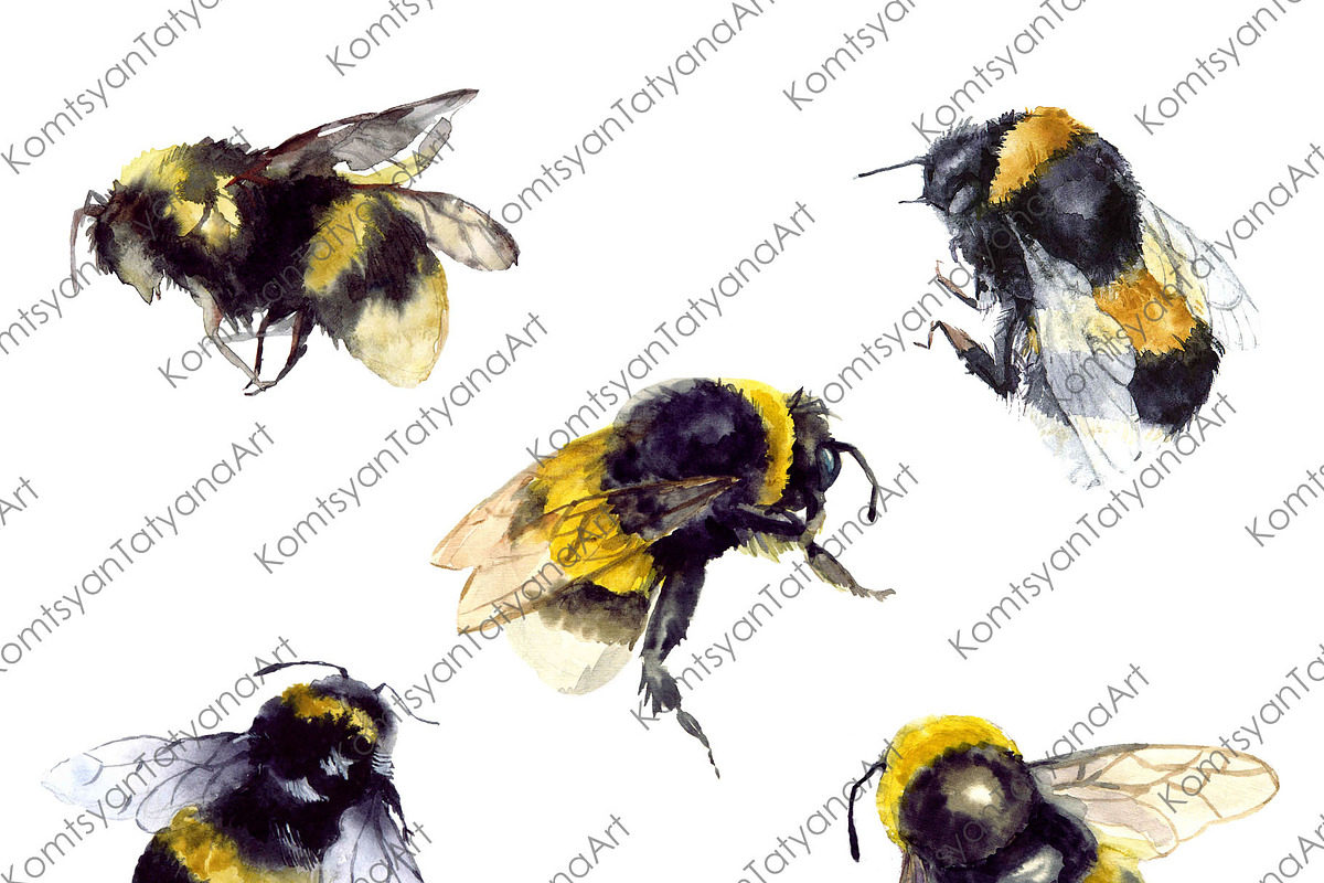 Watercolor Clipart. Bumble Bee art, a Decorative Illustration by ...