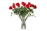 Vase with bouquet of red rose isolated on white background, a Nature ...